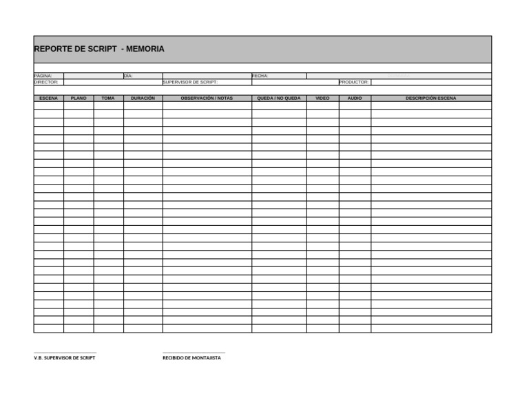 REPORTE DE SCRIPT - MEMORIA | PDF