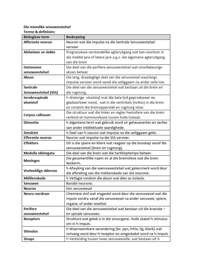 Term Lys - Die Menslike Senuweestelsel | PDF