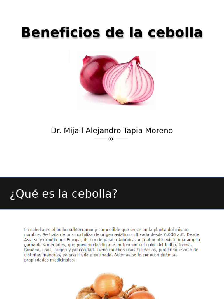 Cebolla | PDF