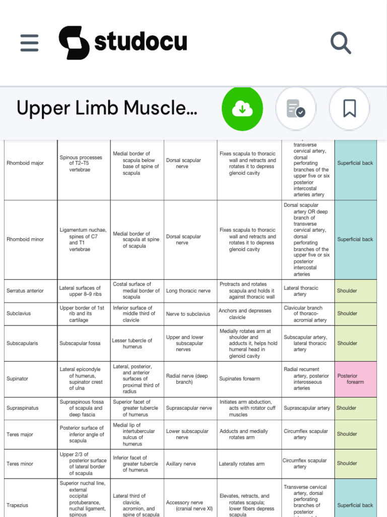Upper Limb Muscle Table - Muscle Tables Muscle Proximal Attachment ...