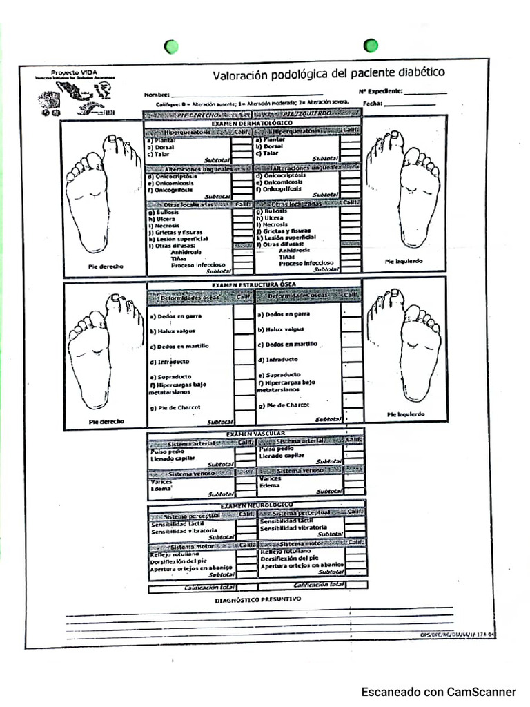 Exploración Pies | PDF