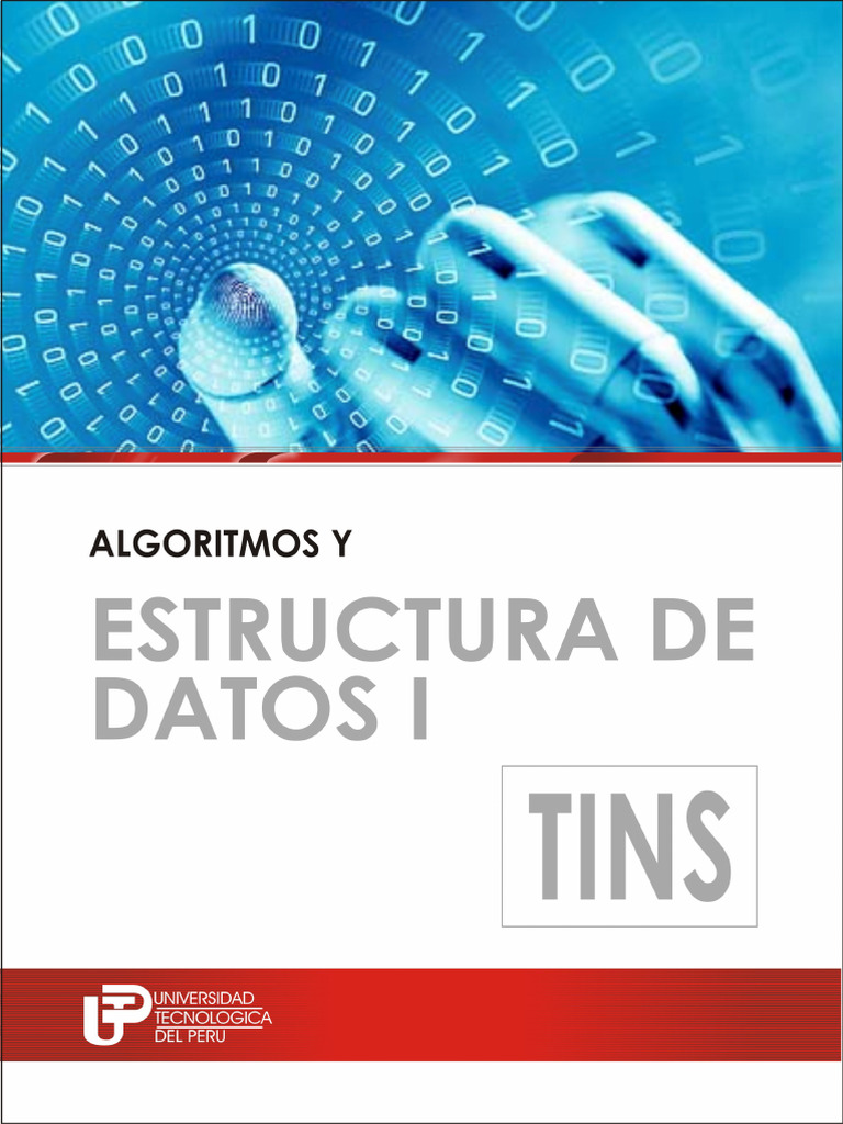 Algoritmos y Estructura de Datos | PDF | Lenguaje de programación | Programa de computadora