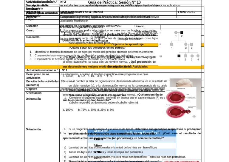 Guía de Práctica N°13 - PROBIO | PDF