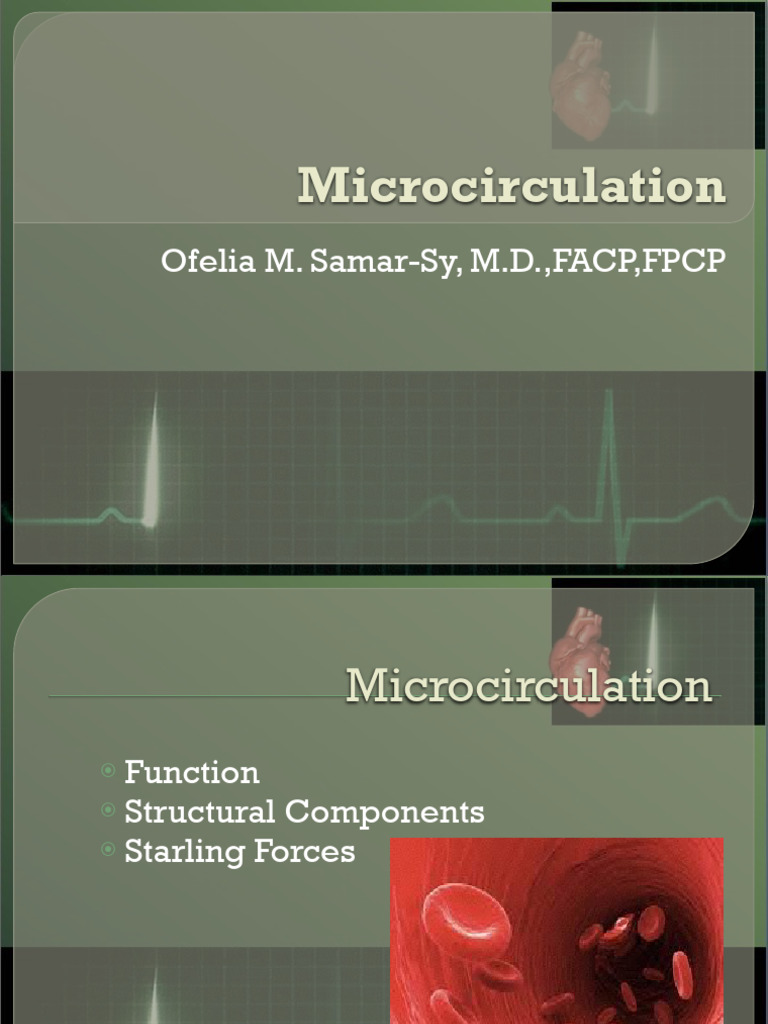 Microcirculation Overview & Functions | PDF | Lymph | Blood Vessel