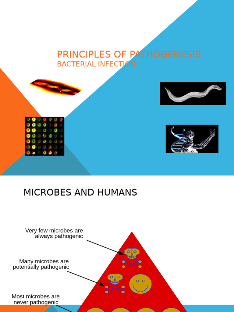 Pathogenesis of Bacterial Infection 6 | PDF
