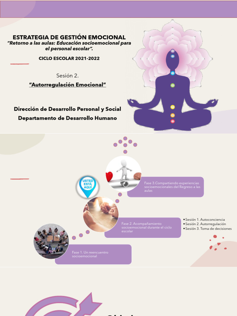 Autorregulacion - ESTRATEGIA DE GESTIÓN EMOCIONAL | PDF