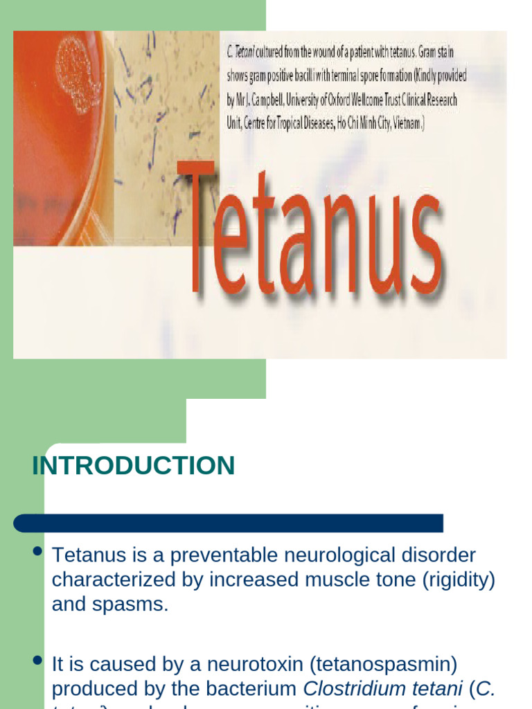 Tetanus | PDF