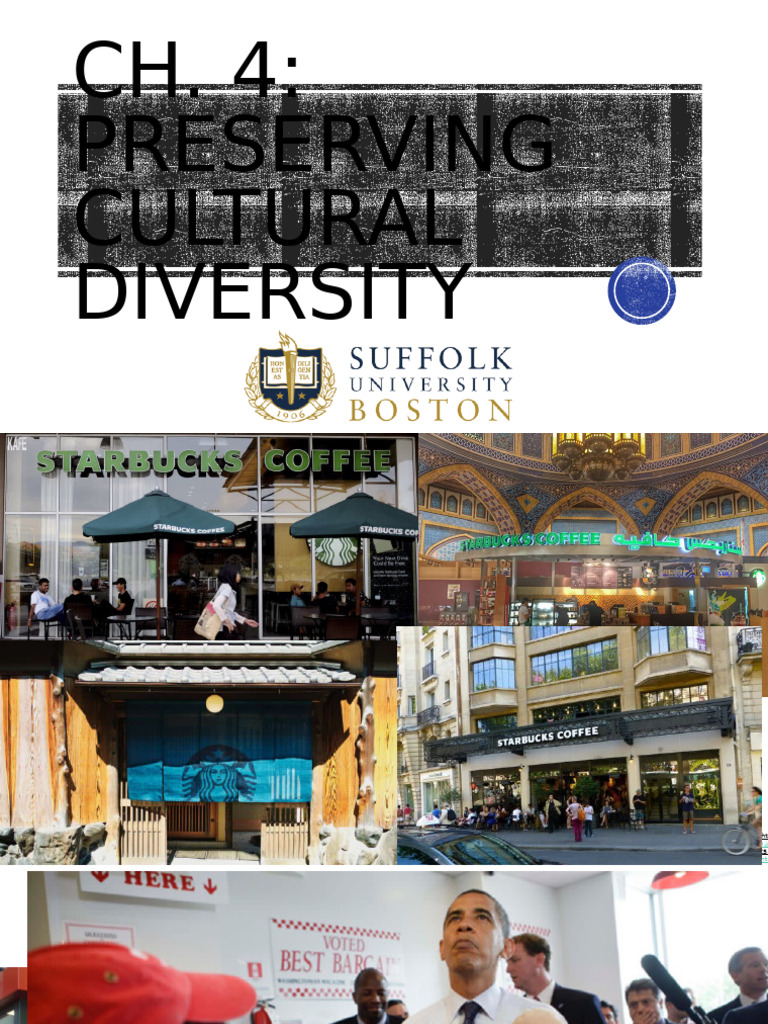 CH 4 - Preserving cultural diversity | PDF