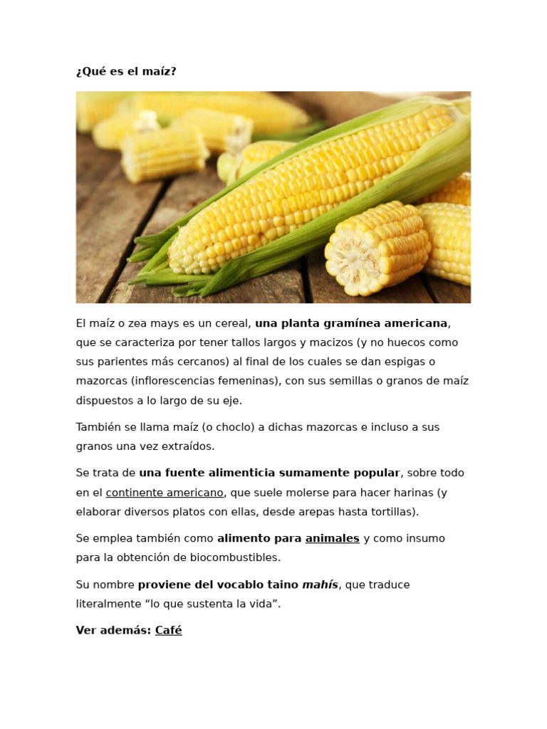Qué Es El Maíz | PDF