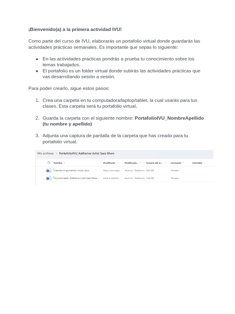 Creando Mi Portafolio Virtual | PDF