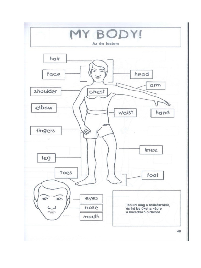 My Body | PDF