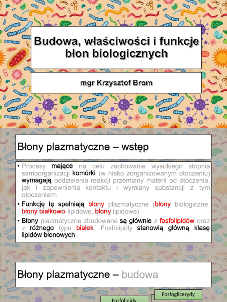 Budowa, Wå Aå Ciwoå Ci I Funkcje Bå On Biologicznych | PDF