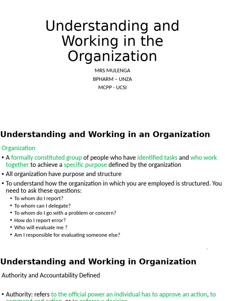 Understanding and Working in The Organization | PDF