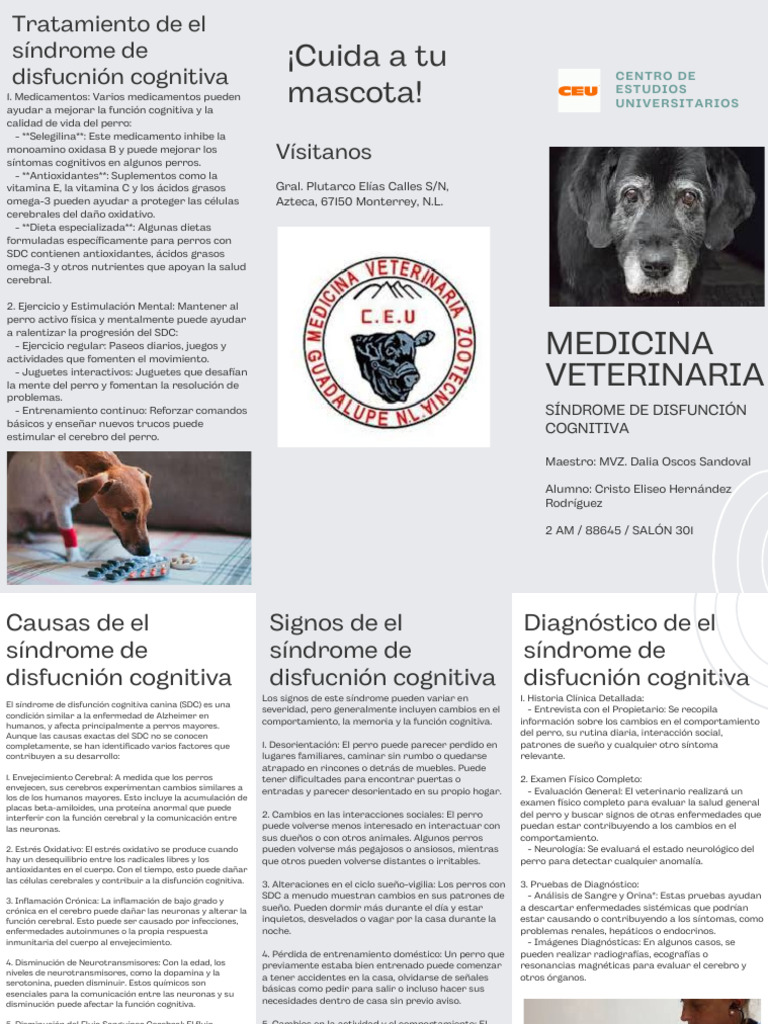 SDC Etología | PDF