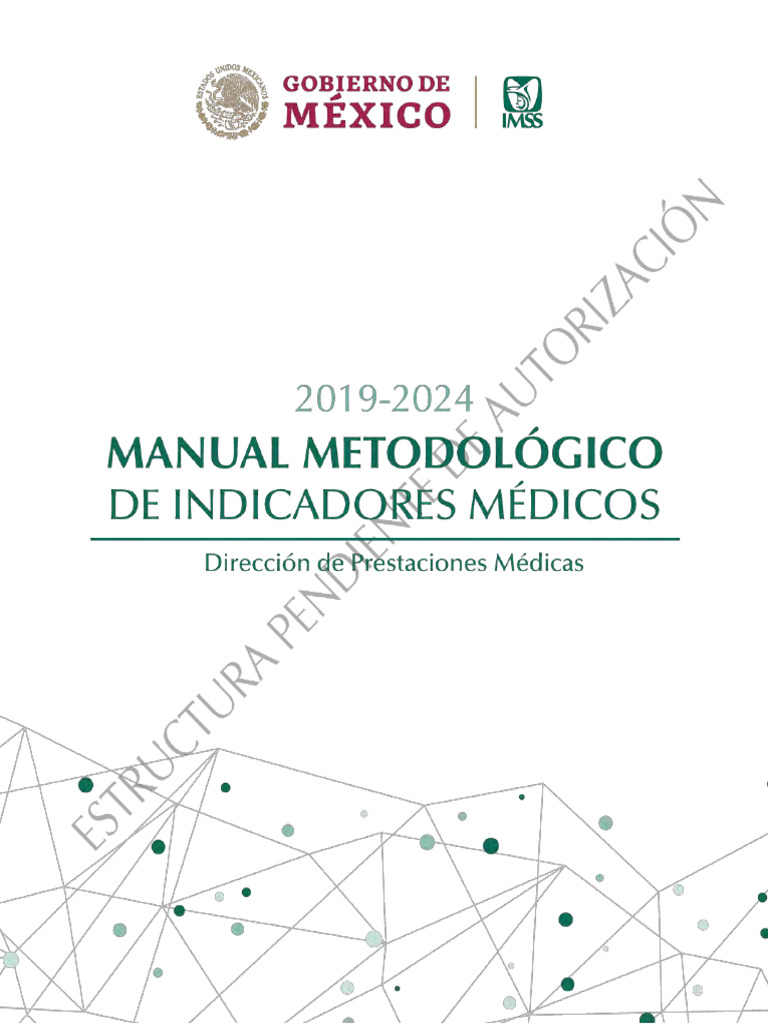 MMIM 2019-2024 - 21042020 - Optimizado | PDF