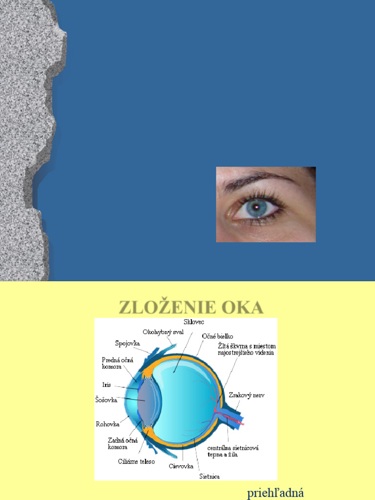 FYZ Oko 8.ročník | PDF