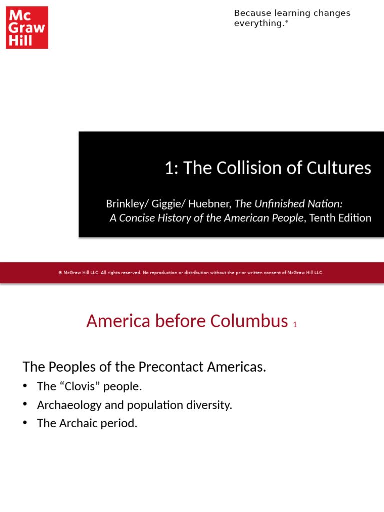 Brinkley 10e PPT Ch01 Access | PDF