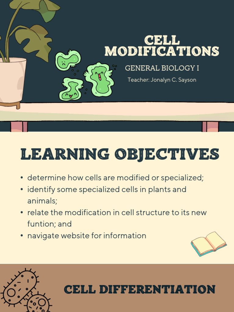 Lesson 5 Cell Modifications | PDF