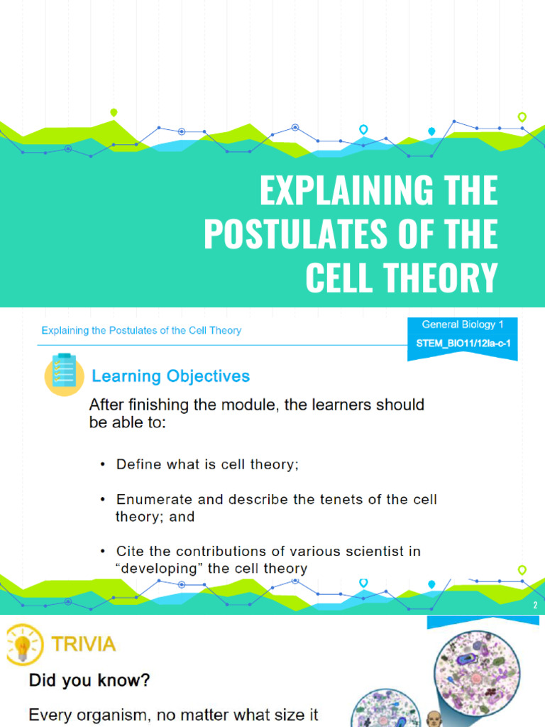 Lesson 1 - Student's | PDF