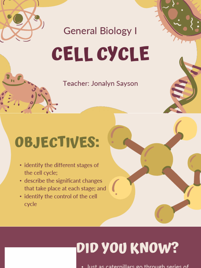 Lesson 7 Cell Cycle | PDF | Meiosis | Self-Improvement
