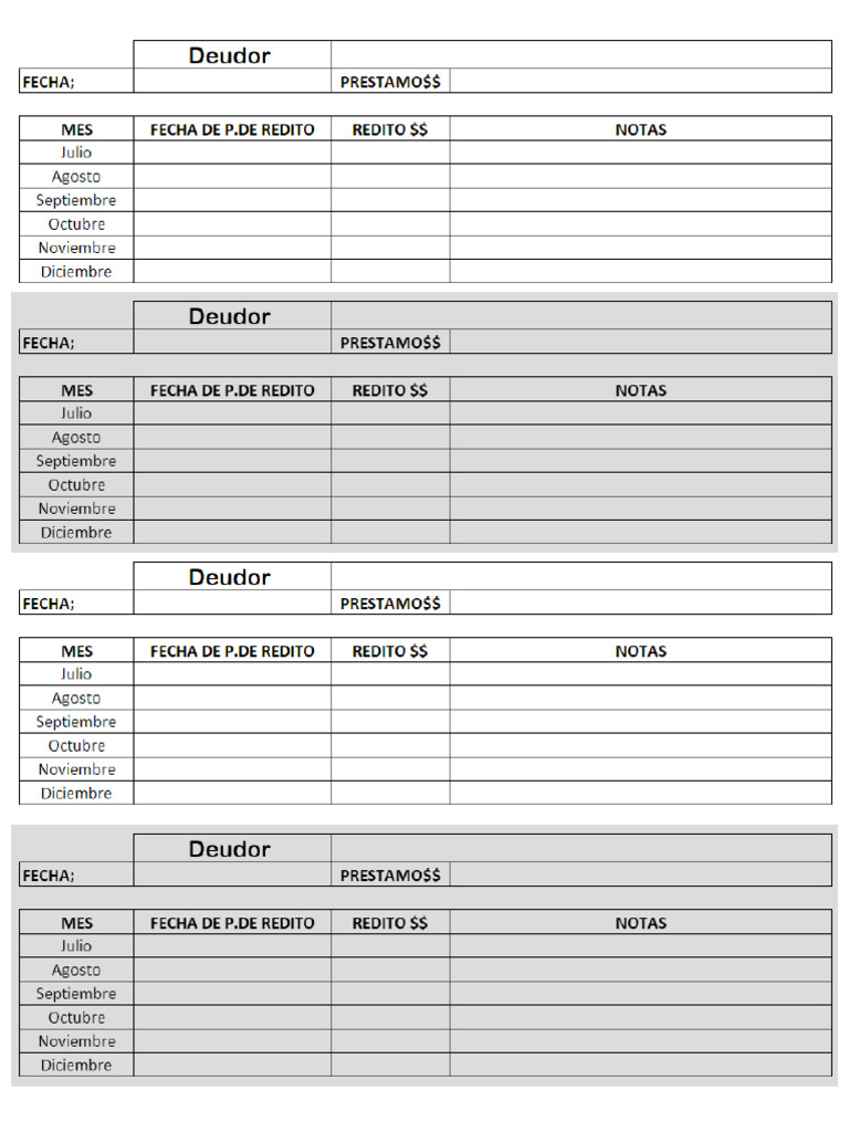 Formato Deudor | PDF