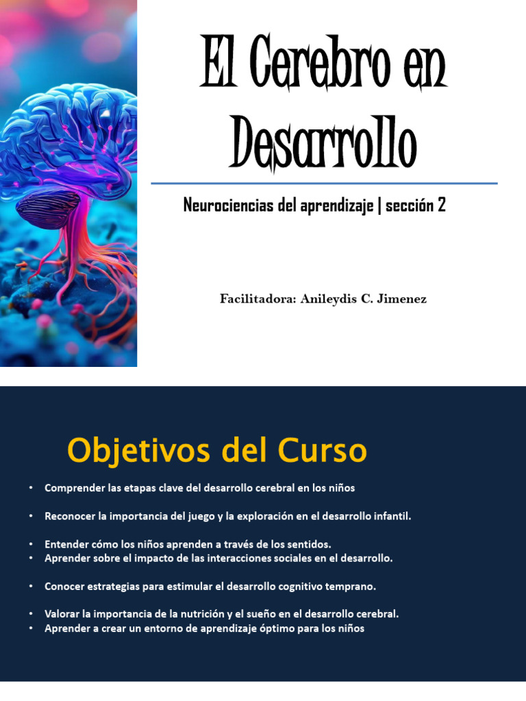 El Cerebro En Desarrollo Pdf