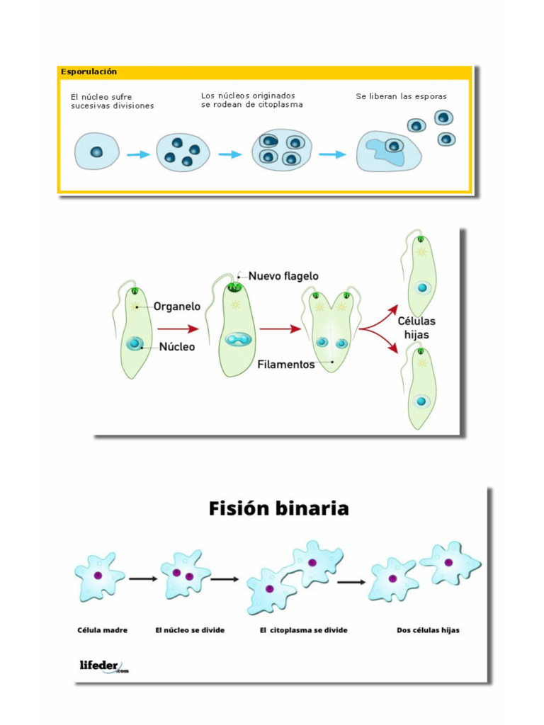 Image To PDF 04-Jun-2024 | PDF