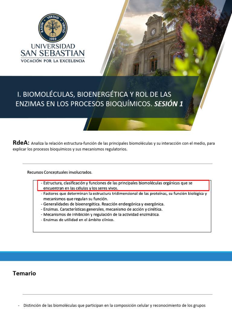 Tema 1_Clases 1 a 4 | PDF