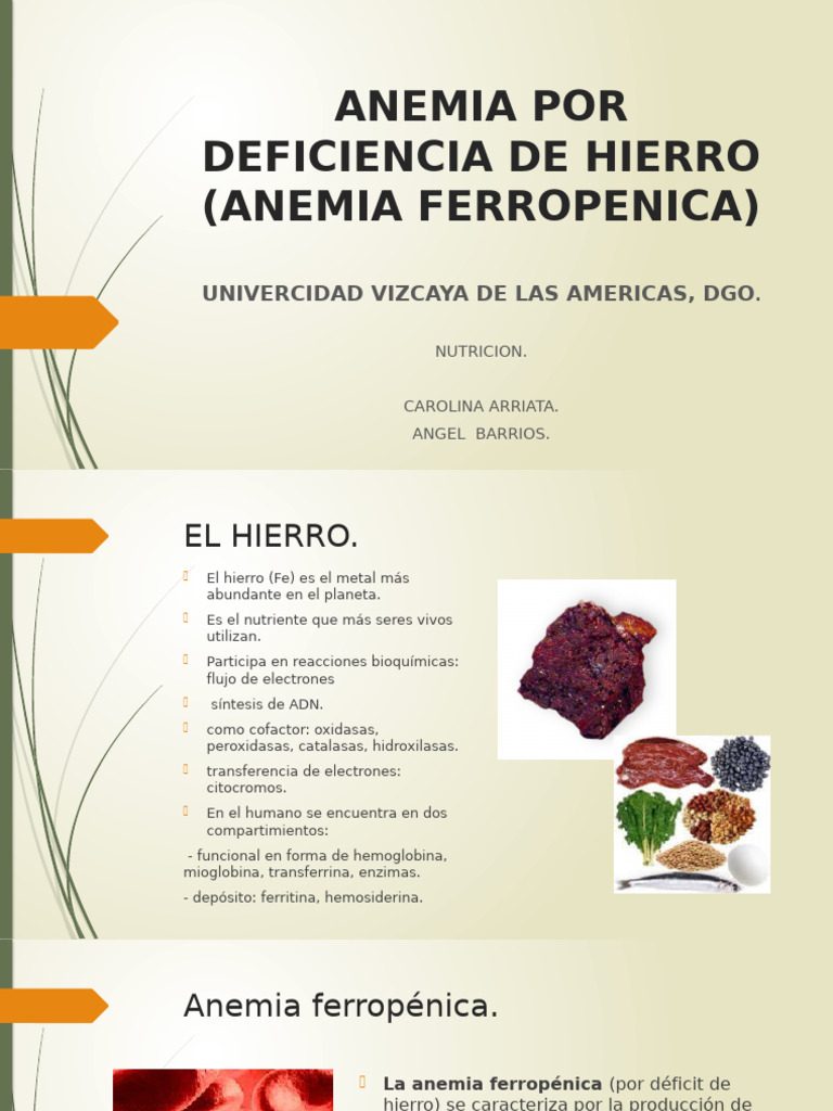 Anemia Por Deficiencia de Hierro | PDF