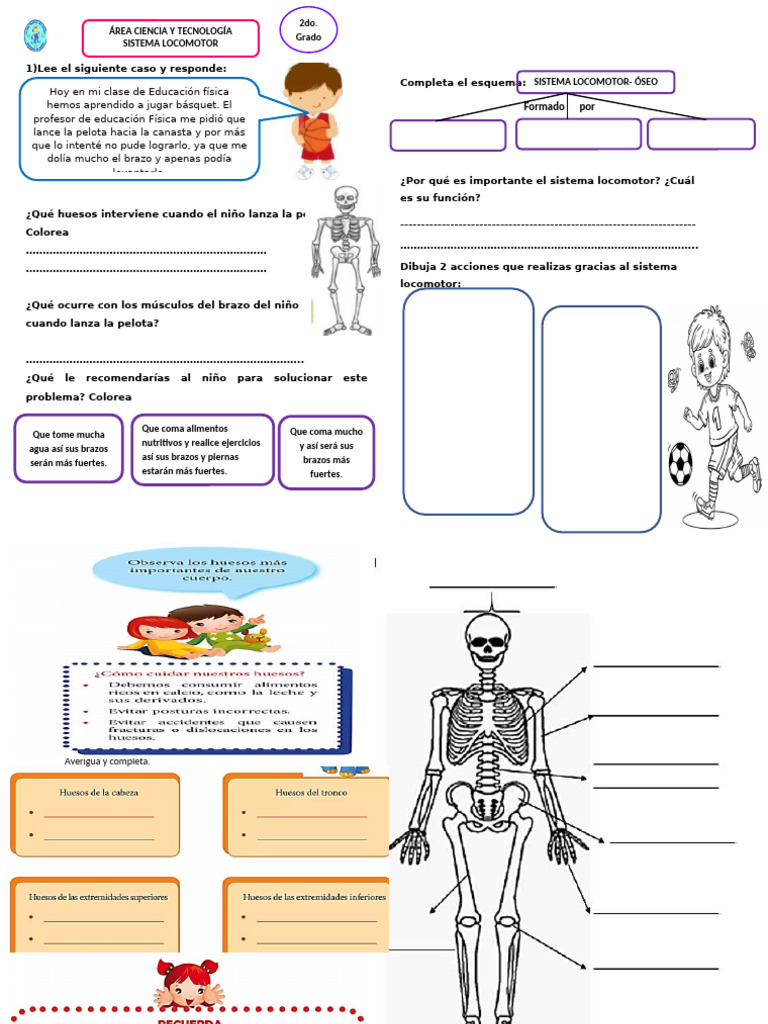 SISTEMA ÓSEO-PRACTICA | PDF