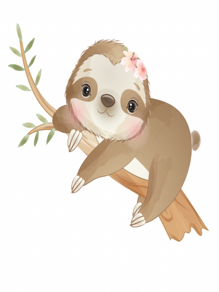 Baby Sloth | PDF