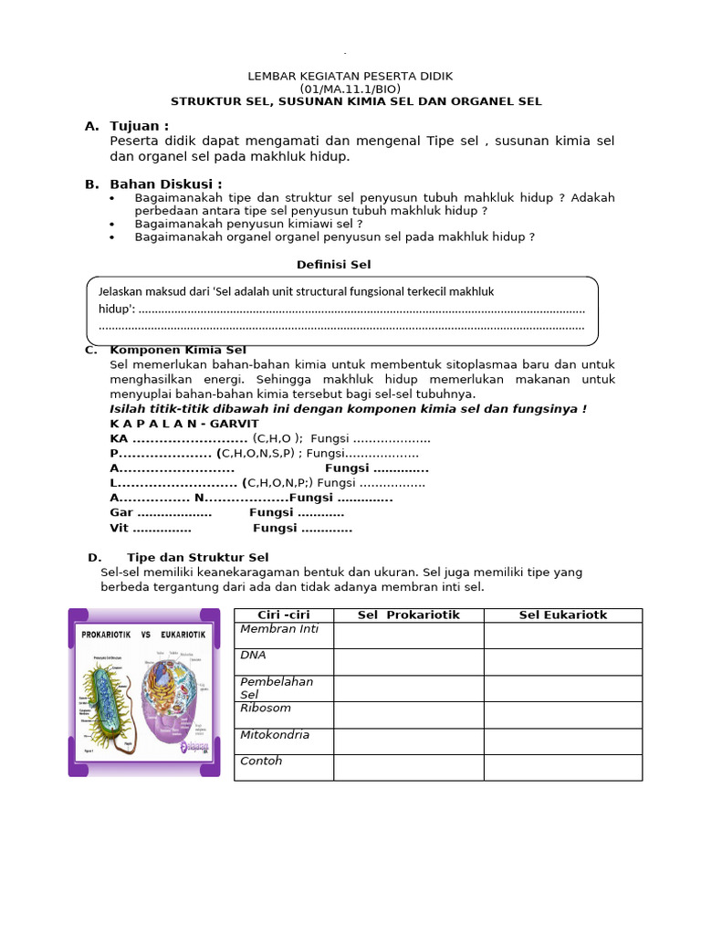 LKPD 1 , Tipe , Struktur Dan Organel Sel | PDF