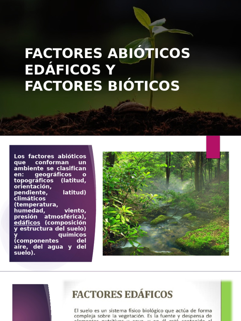 Factores Abióticos Edáficos y Factores Bióticos | PDF