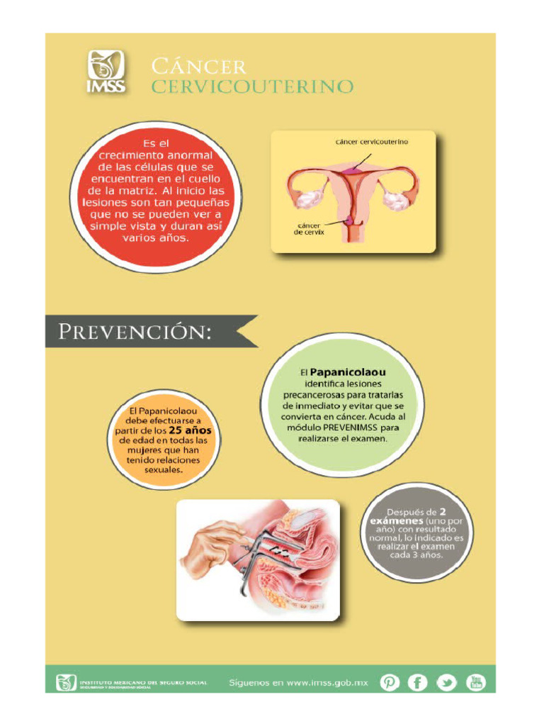 Prevencion Cacu | PDF