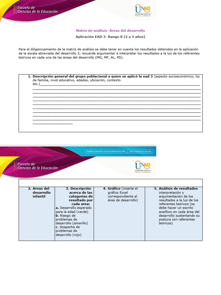 Anexo 2 - Matriz de Análisis | PDF