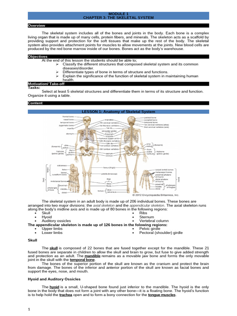 Module 1 Albiola | PDF