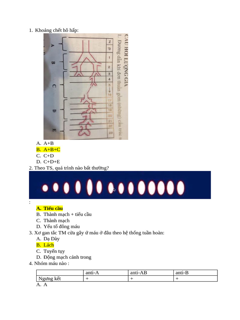 A. Tiểu cầu | PDF
