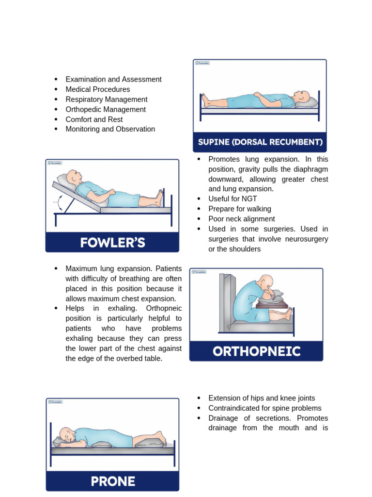 Position Ass. | PDF