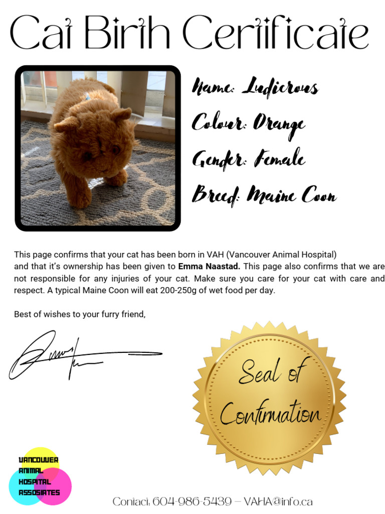 Cat Birth Certificate | PDF