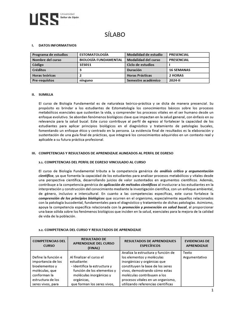 Silabo 2024-Ii Final | PDF