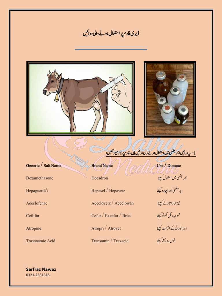 Dairy Farm Medicine | PDF