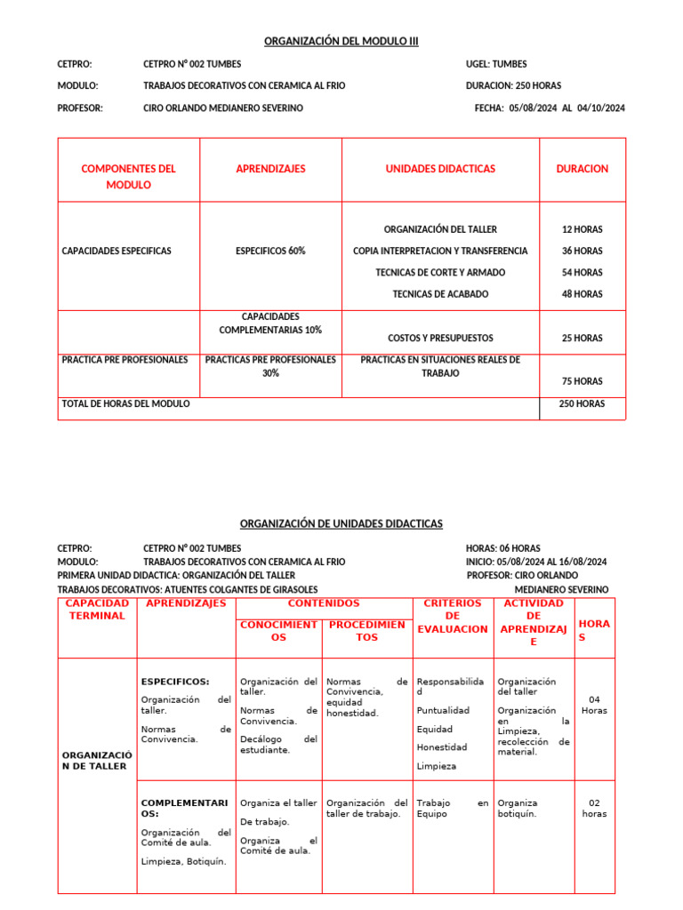 ORGANIZACIÓN DEL MODULO III | PDF