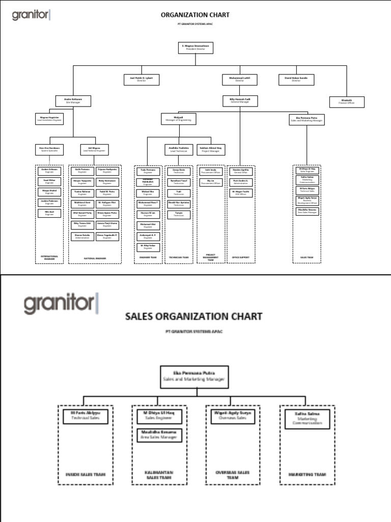 Matrix Organization 2024 | PDF