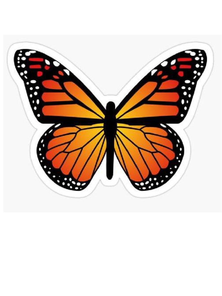 Mariposa | PDF