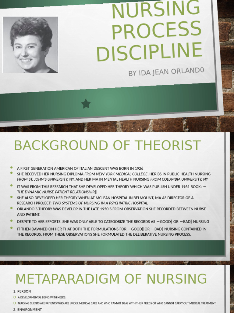 Nursing Process Discipline (BAIZA) Partial Part | PDF