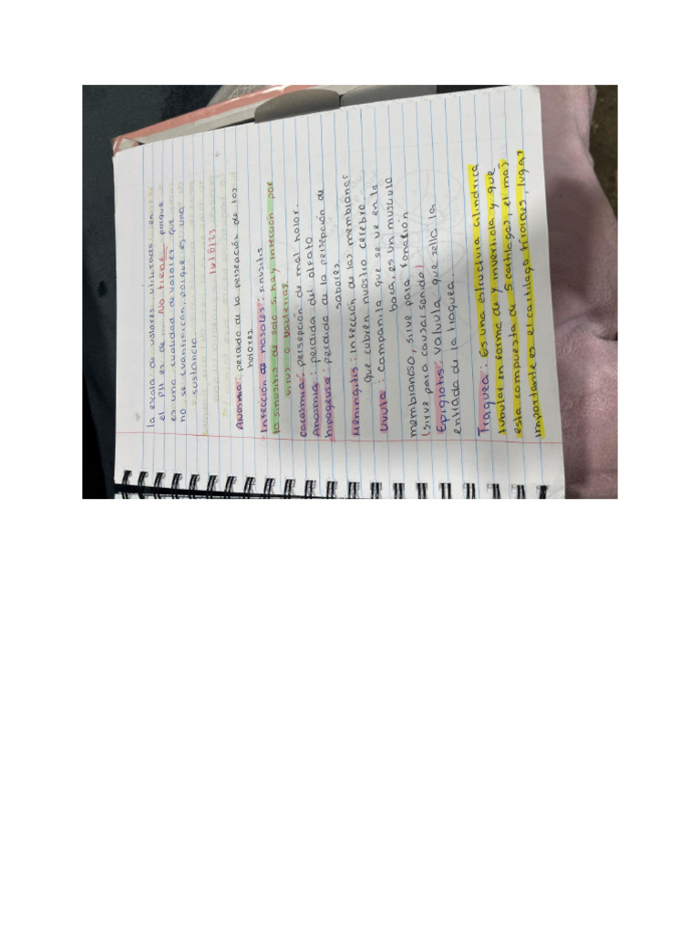 5H-18 Cuaderno Anato | PDF