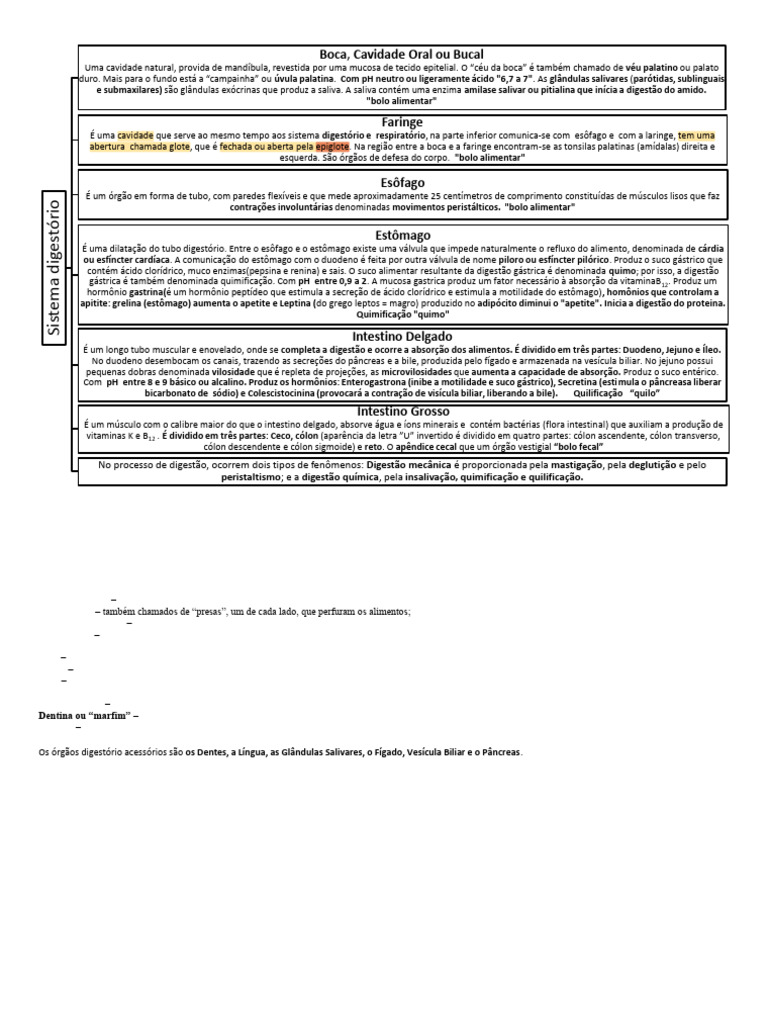 Sinótico Do Sistema Digéstório | PDF
