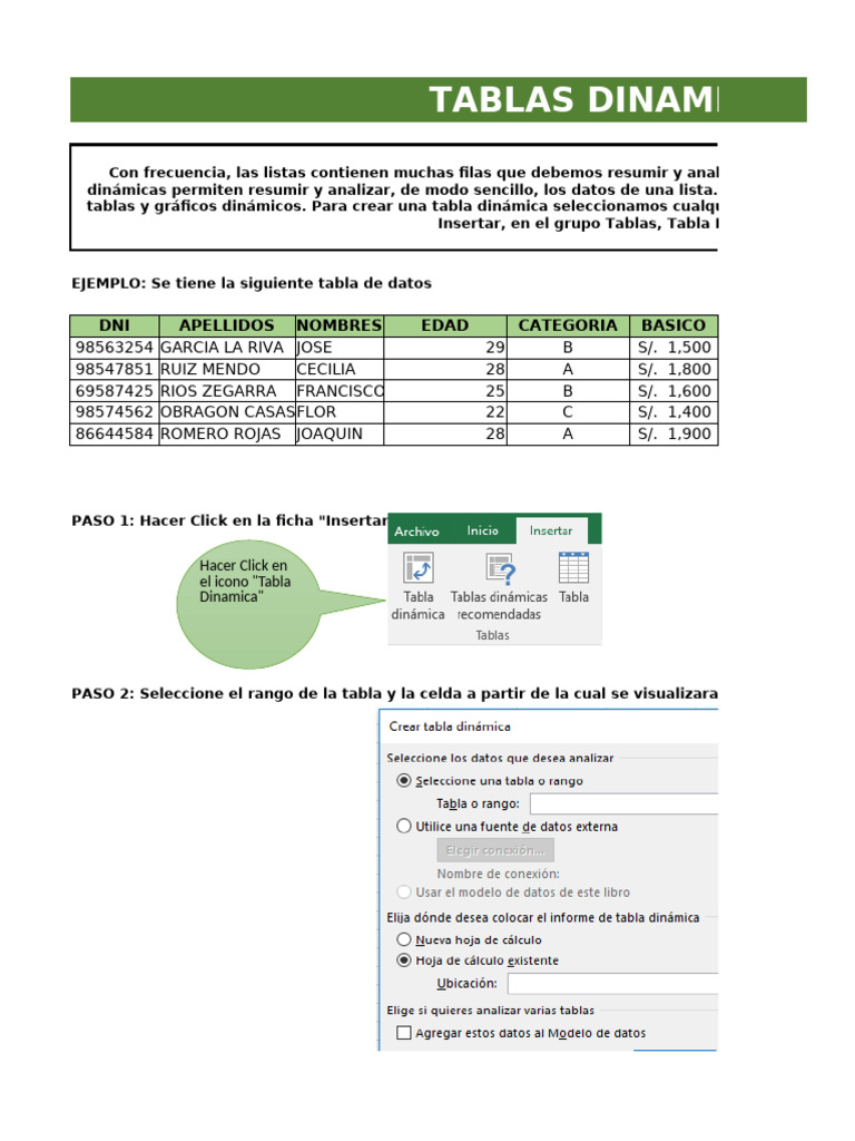 Tablas Dinámicas - Ejercicios Varios | PDF