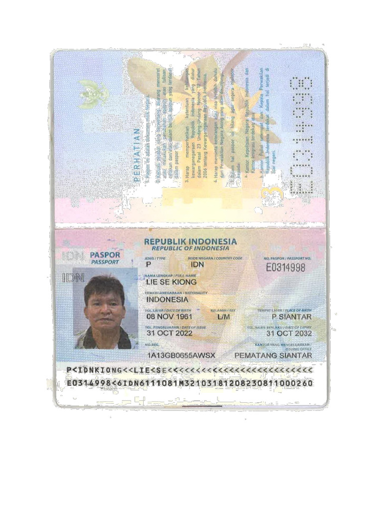 Pasport L S Kiong | PDF