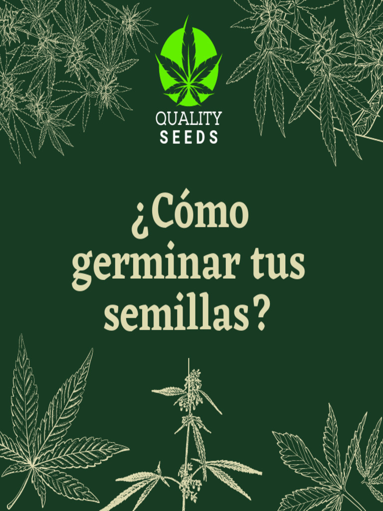 Pasos para Germinar QualitySeeds | PDF